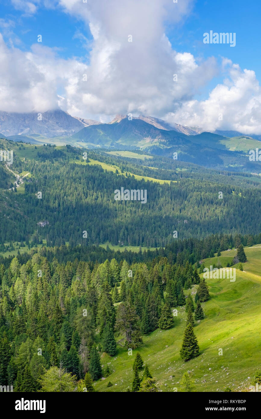 Beautiful view of the forest in an alp valley Stock Photo - Alamy