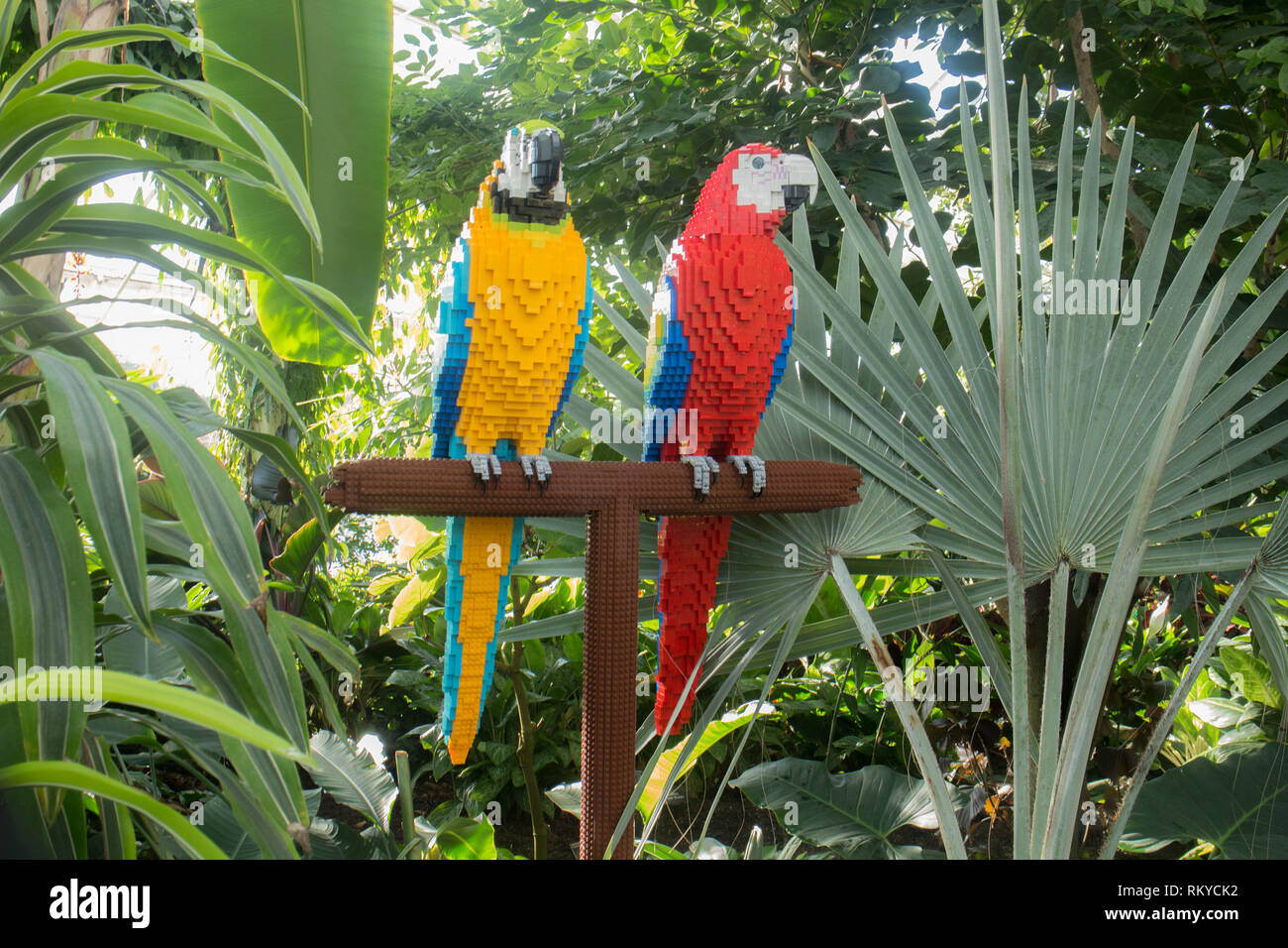 Lego Parrot High Resolution Stock Photography and Images - Alamy