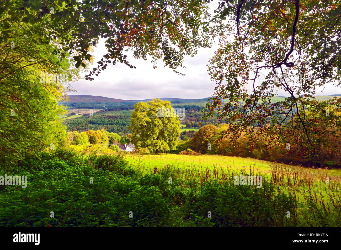 Aughrim hi-res stock photography and images - Alamy