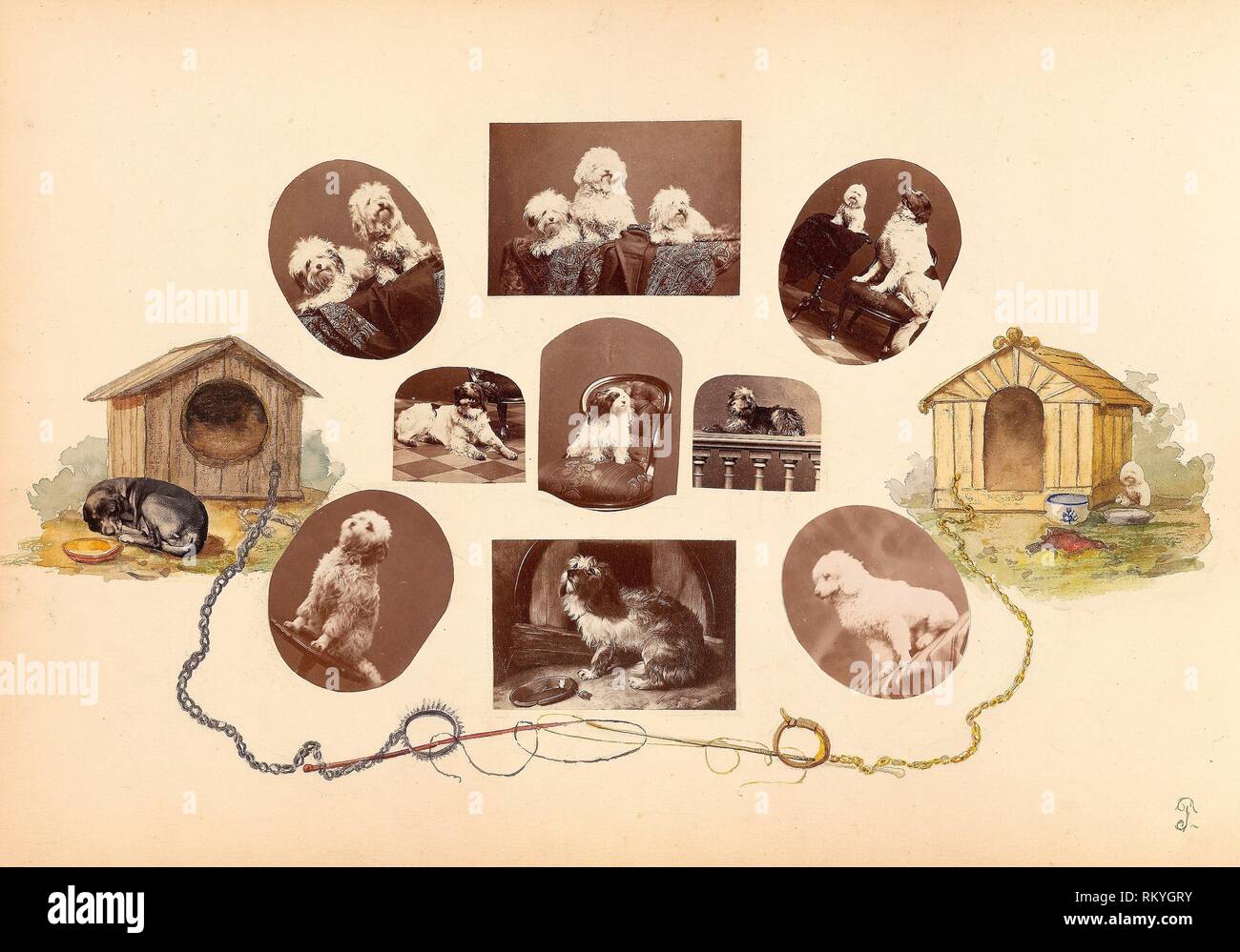 The Madame B Album - 1870s - Marie-Blanche-Hennelle Fournier French ...