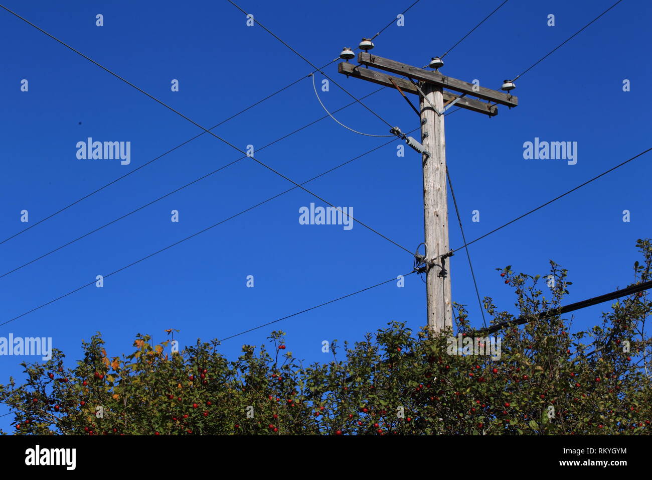 Hydro Pole High Resolution Stock Photography and Images - Alamy