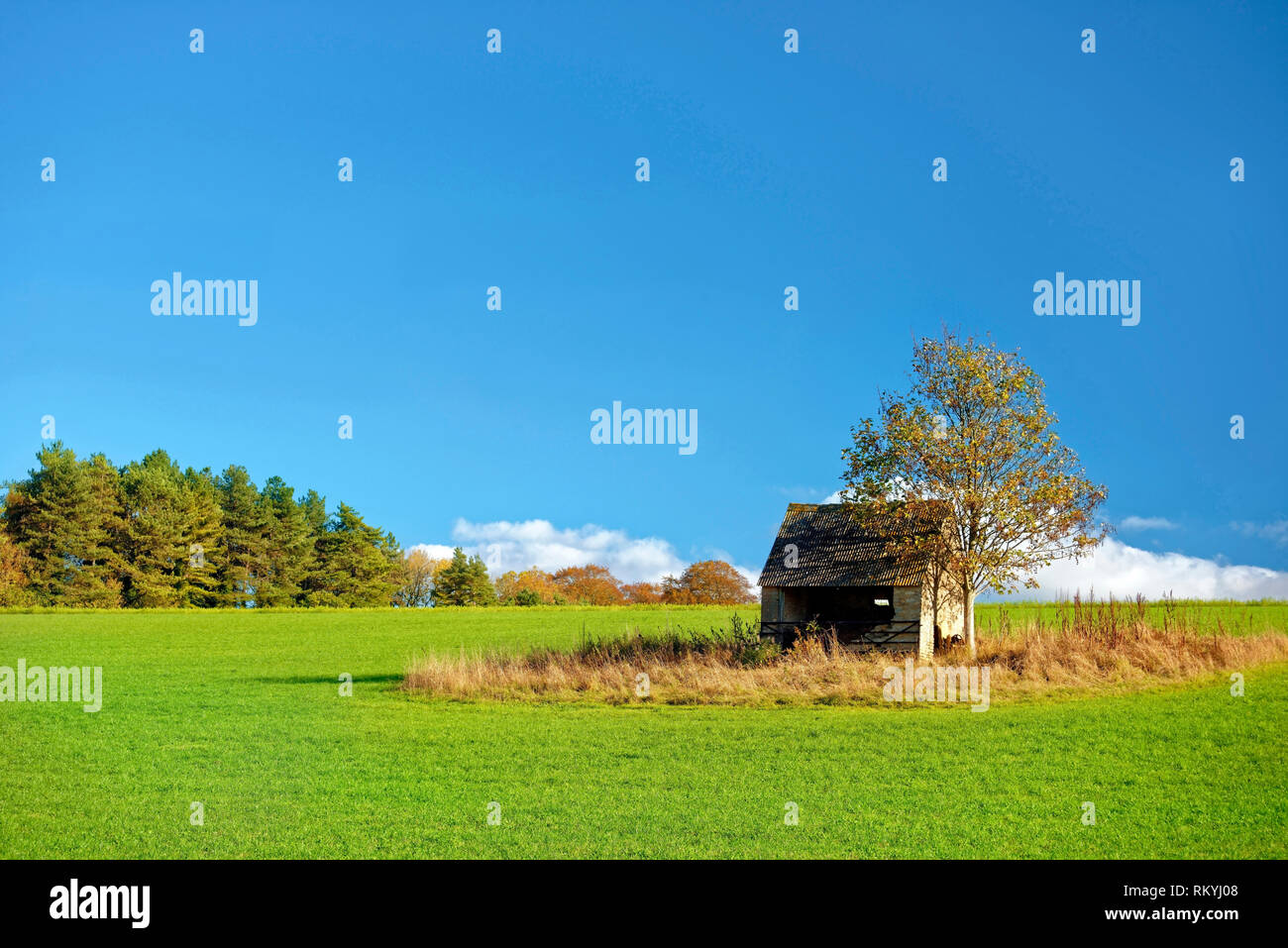 An autumn view of an isolated barn in the Costwolds countryside near ...