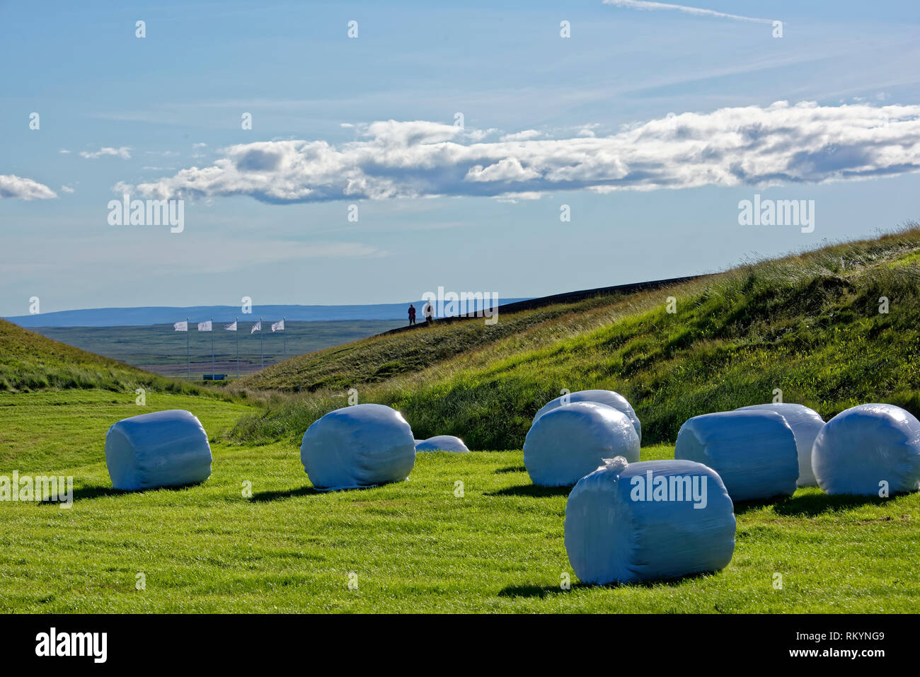 Hay Bales,rolls wrapped in Plastic in a Field,Akureyri North Iceland ...