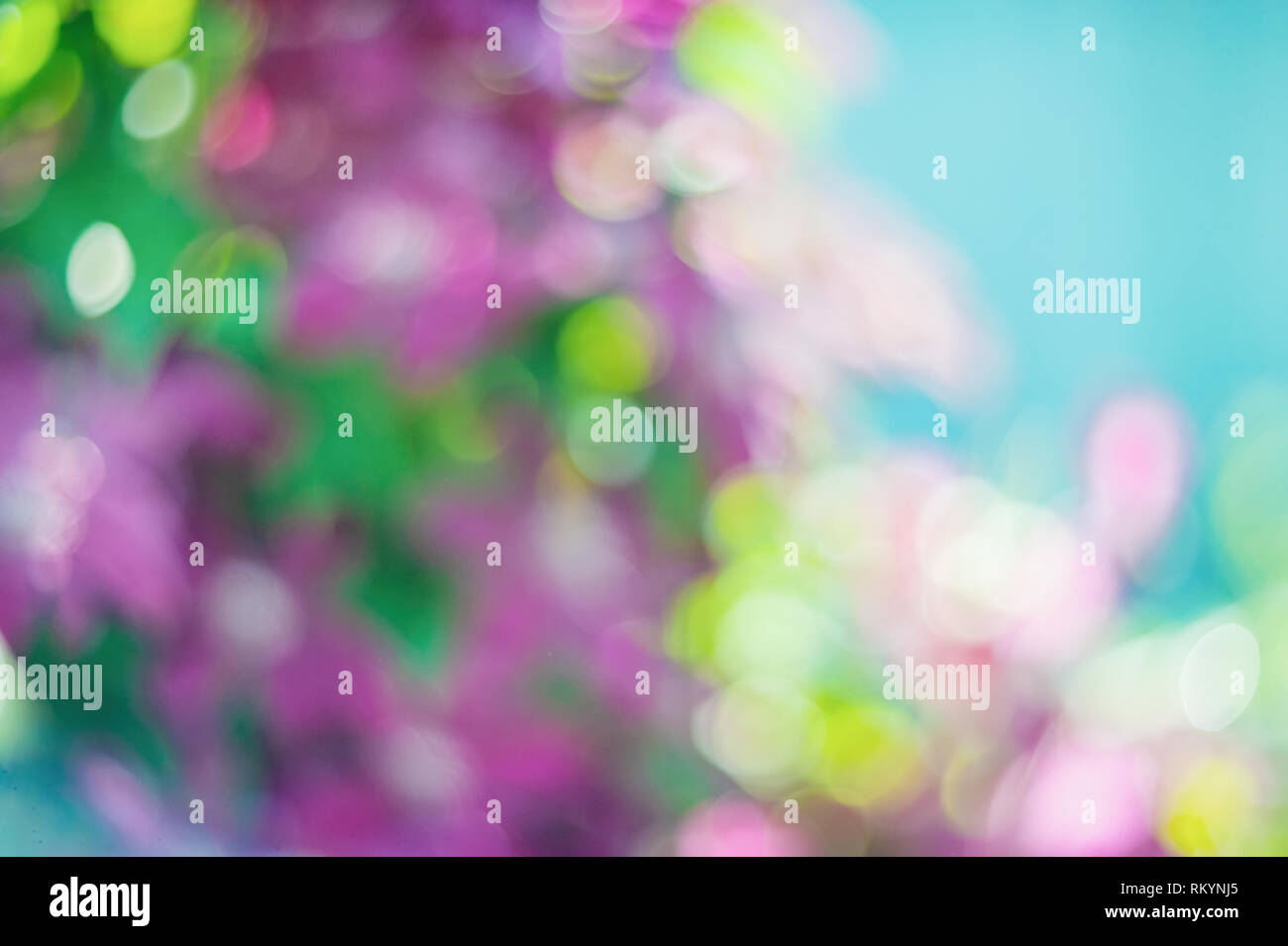 Abstract bokeh and blurred colorful nature background model used to ...