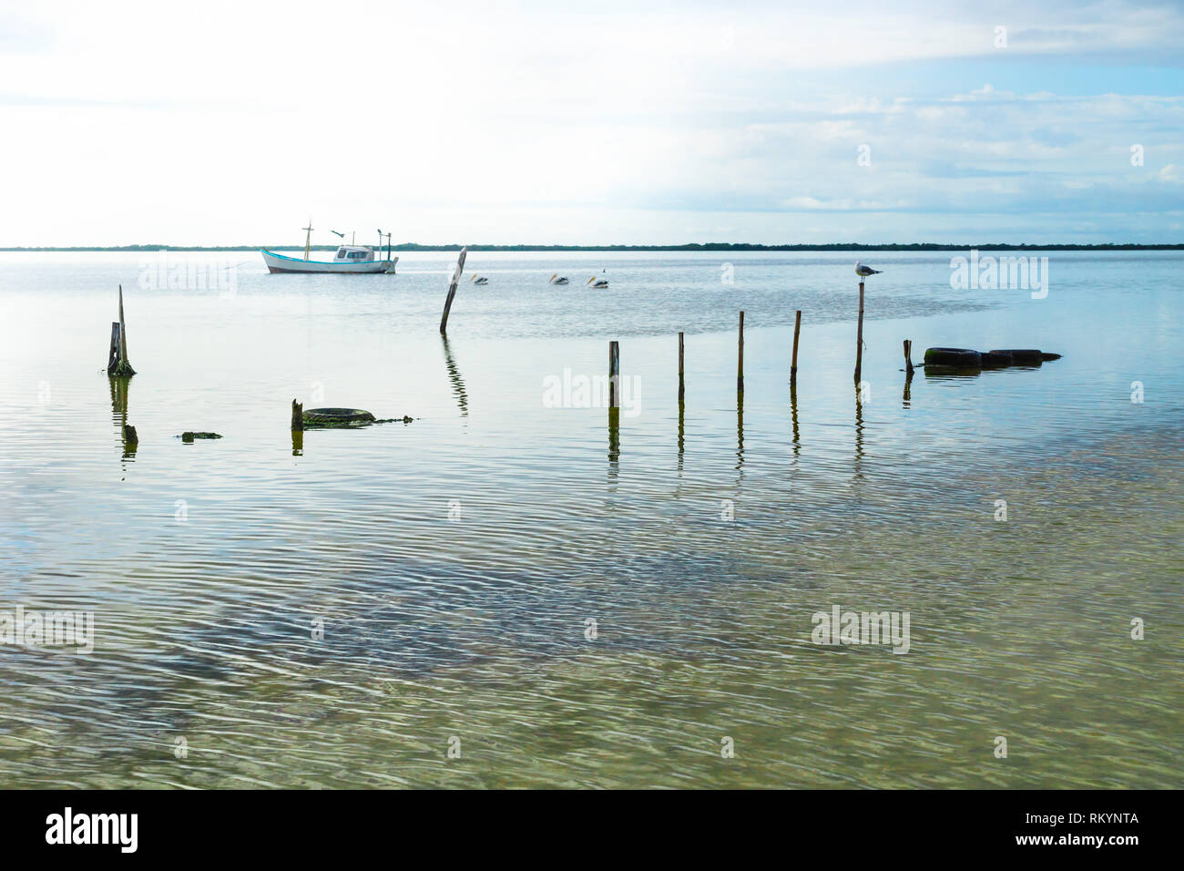 Reflections of a former dock on a sunny day in the lagoon of Chelem ...