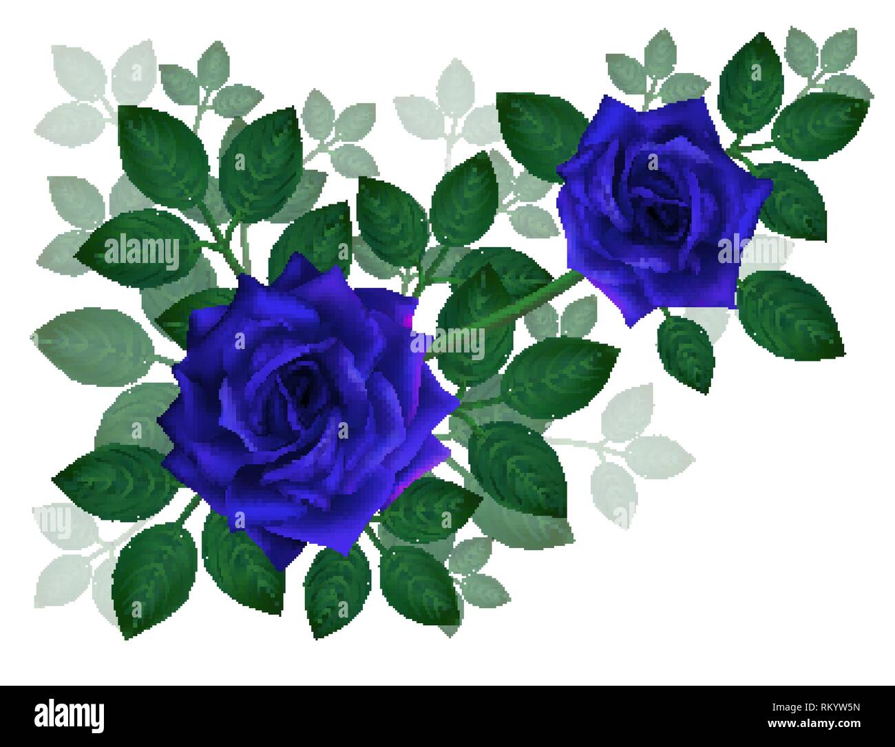 Amazing Blue Roses