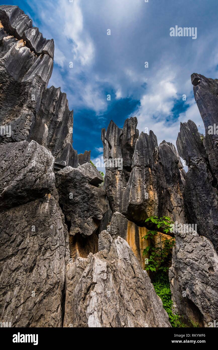 Shilin Karst High Resolution Stock Photography and Images - Alamy