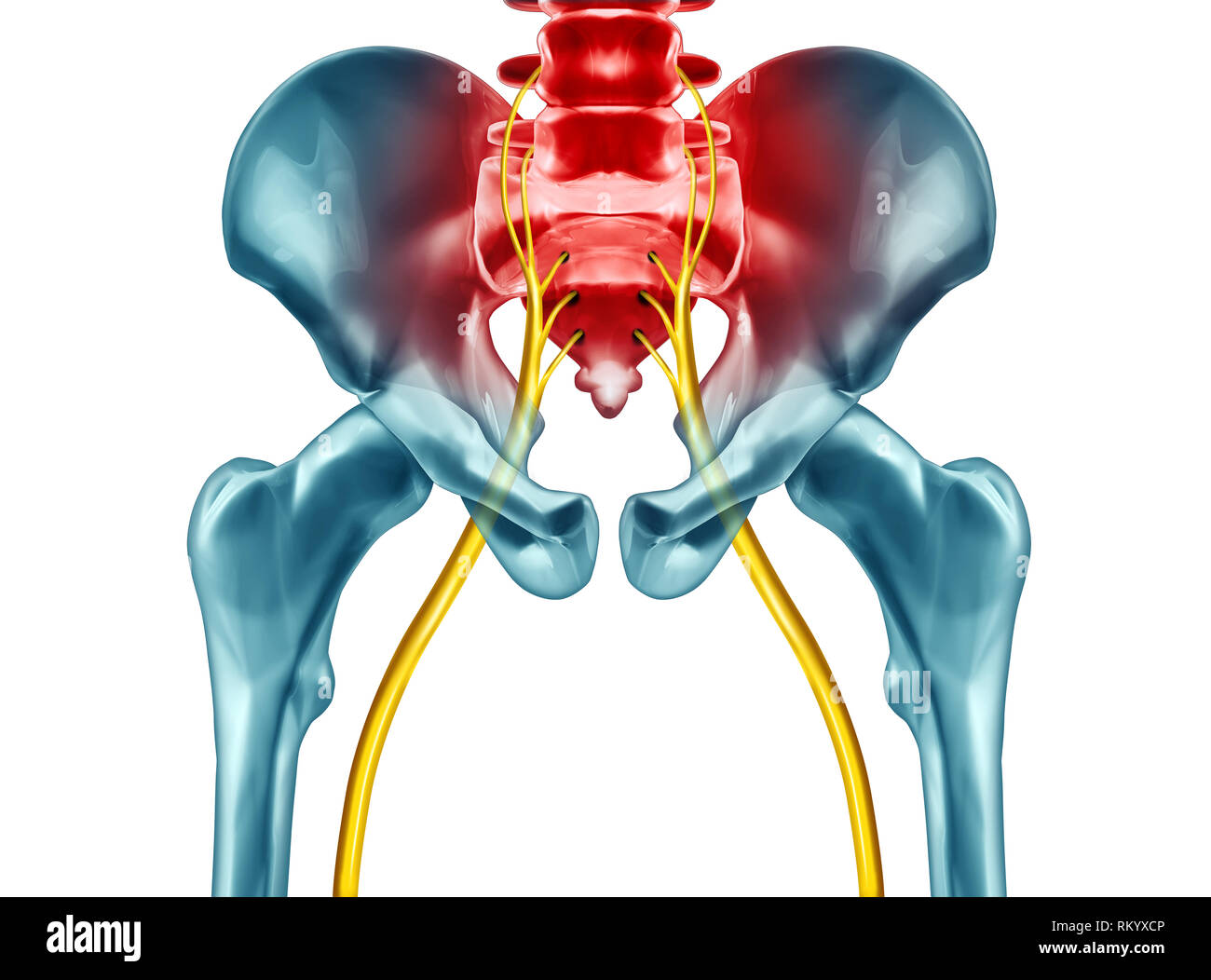 Diagnosis pinched nerve medical hi-res stock photography and images - Alamy