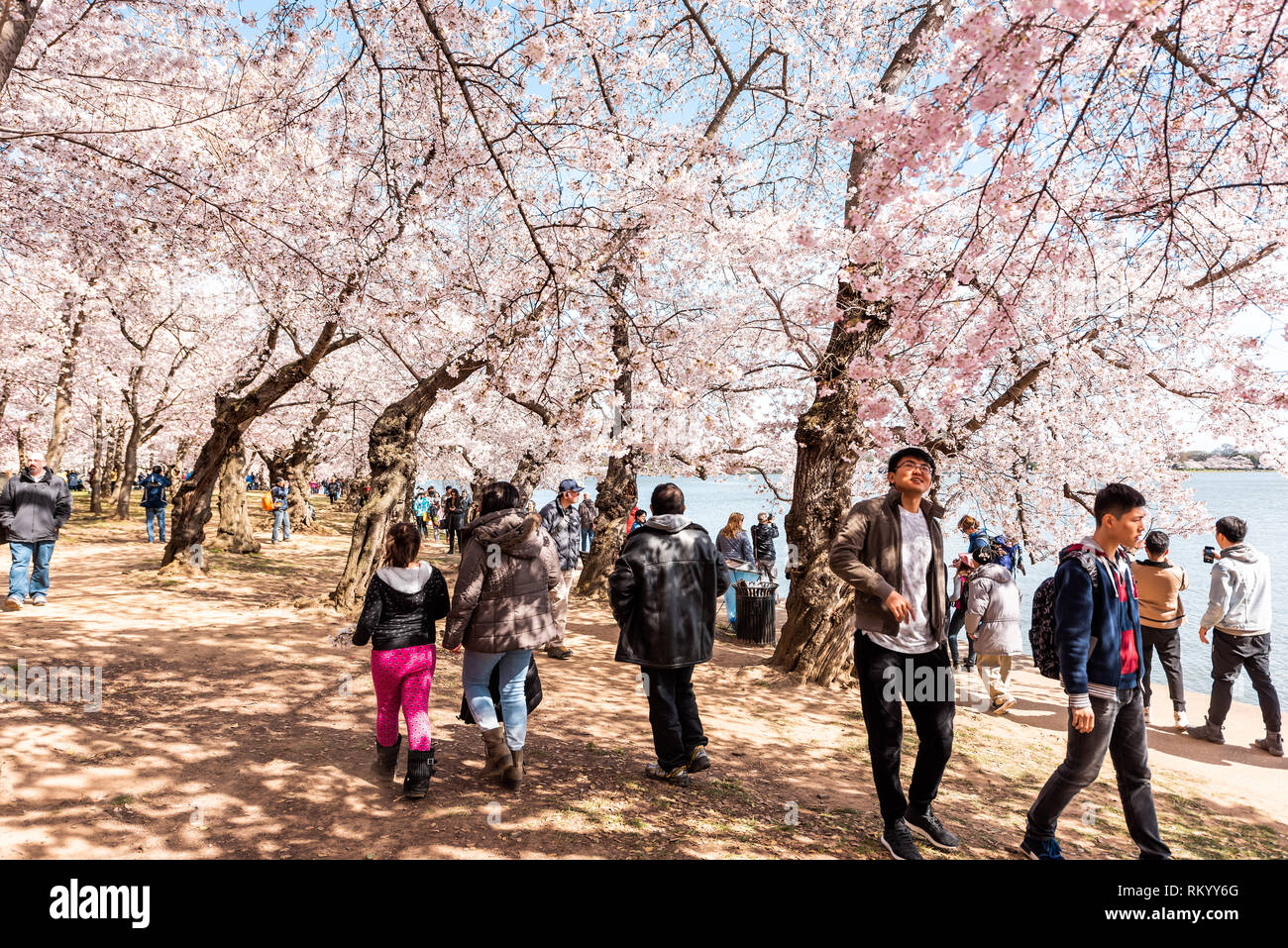 Washington DC, USA - April 5, 2018: People walking through sunny park ...