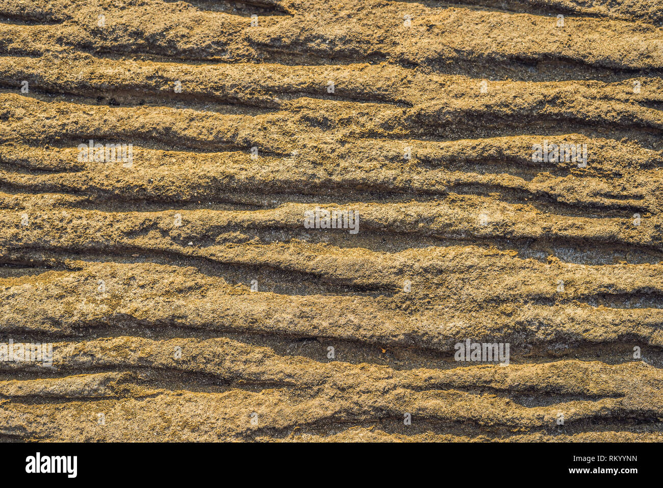 Layered seaweed texture hi-res stock photography and images - Alamy