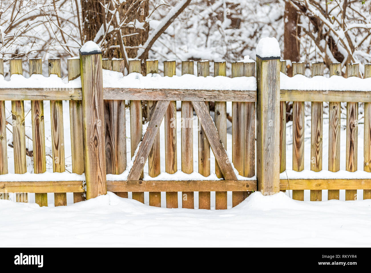 Wooden fence gate locked covered in white snow after heavy snowing ...