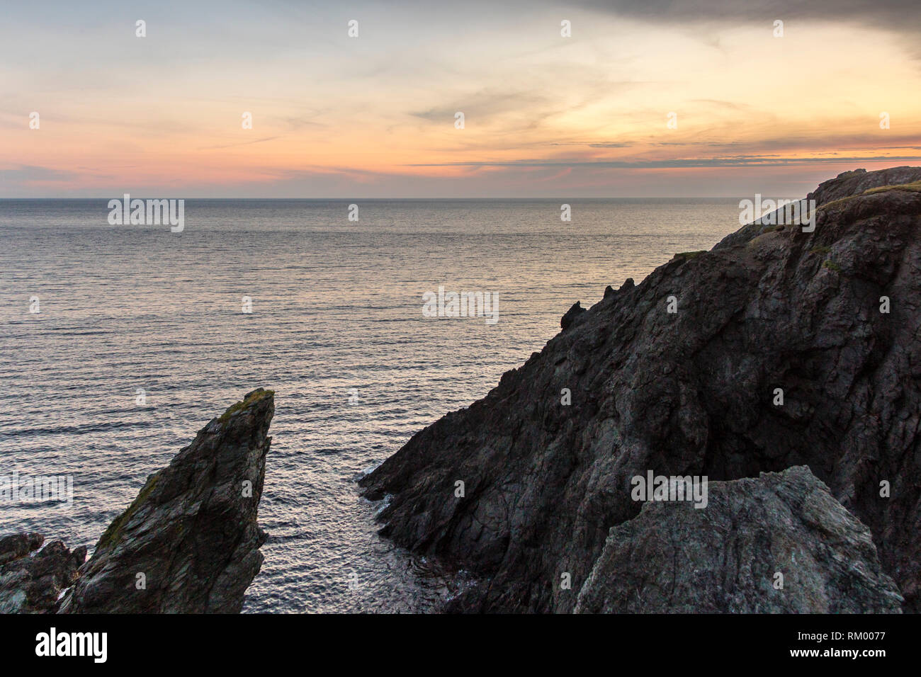 A view of the point along the Eastern Point Trail at Trout River ...