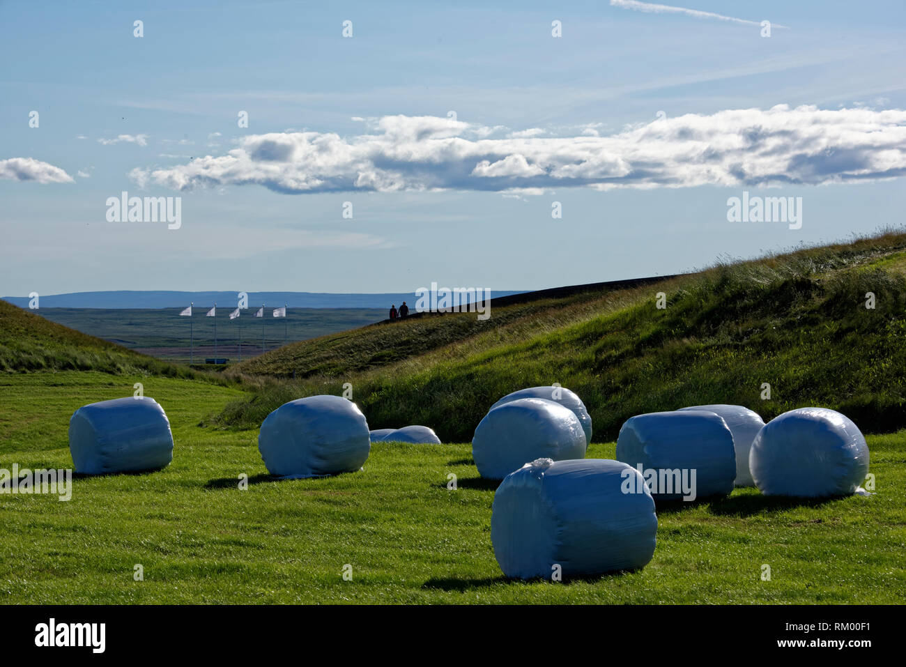 Hay Bales,rolls wrapped in Plastic in a Field,Akureyri North Iceland ...