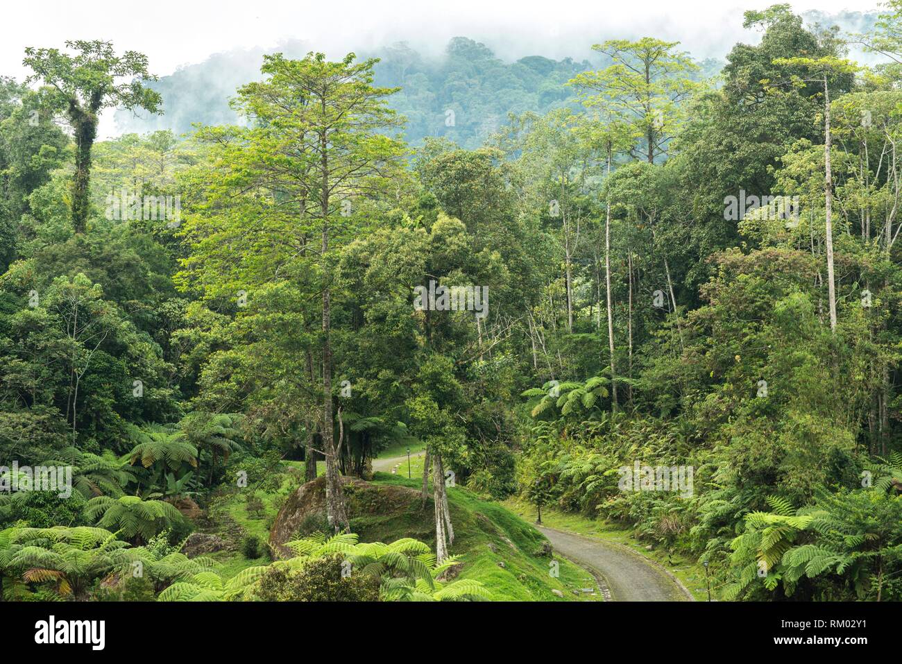 Sarawak malaysia asia panorama panoramic hi-res stock photography and ...