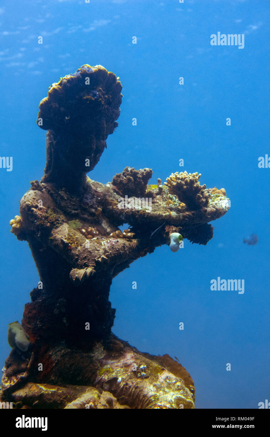 Underwater statue, Jemeluk Bay Gallery dive site, Amed, east Bali ...