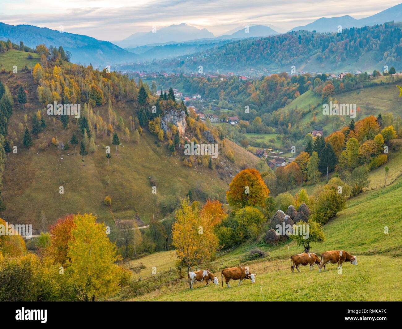 Transylvania nature hi-res stock photography and images - Alamy