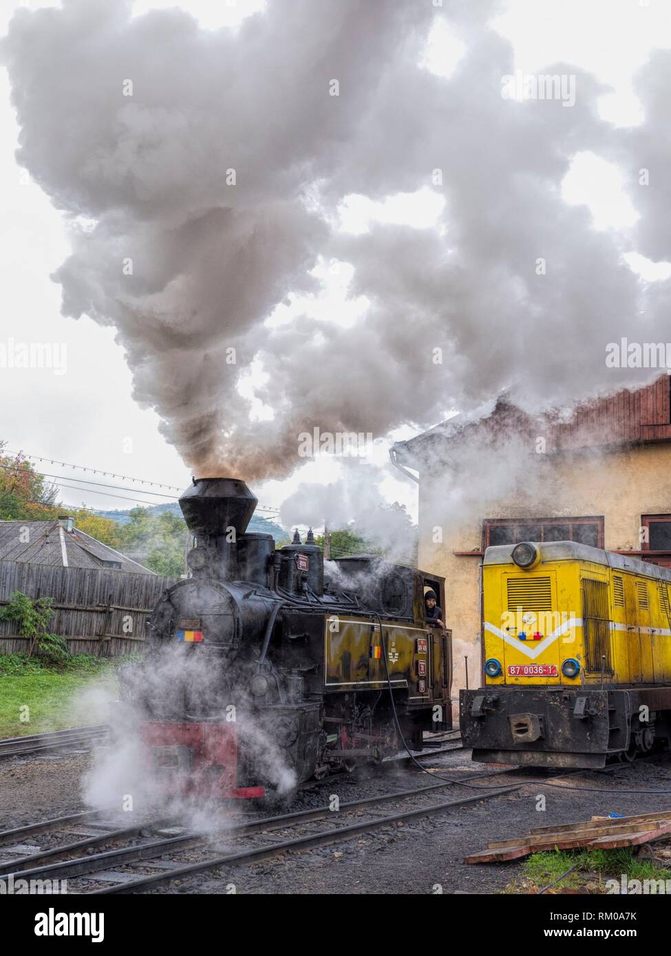 Carpathian forest steam train hi-res stock photography and images - Alamy