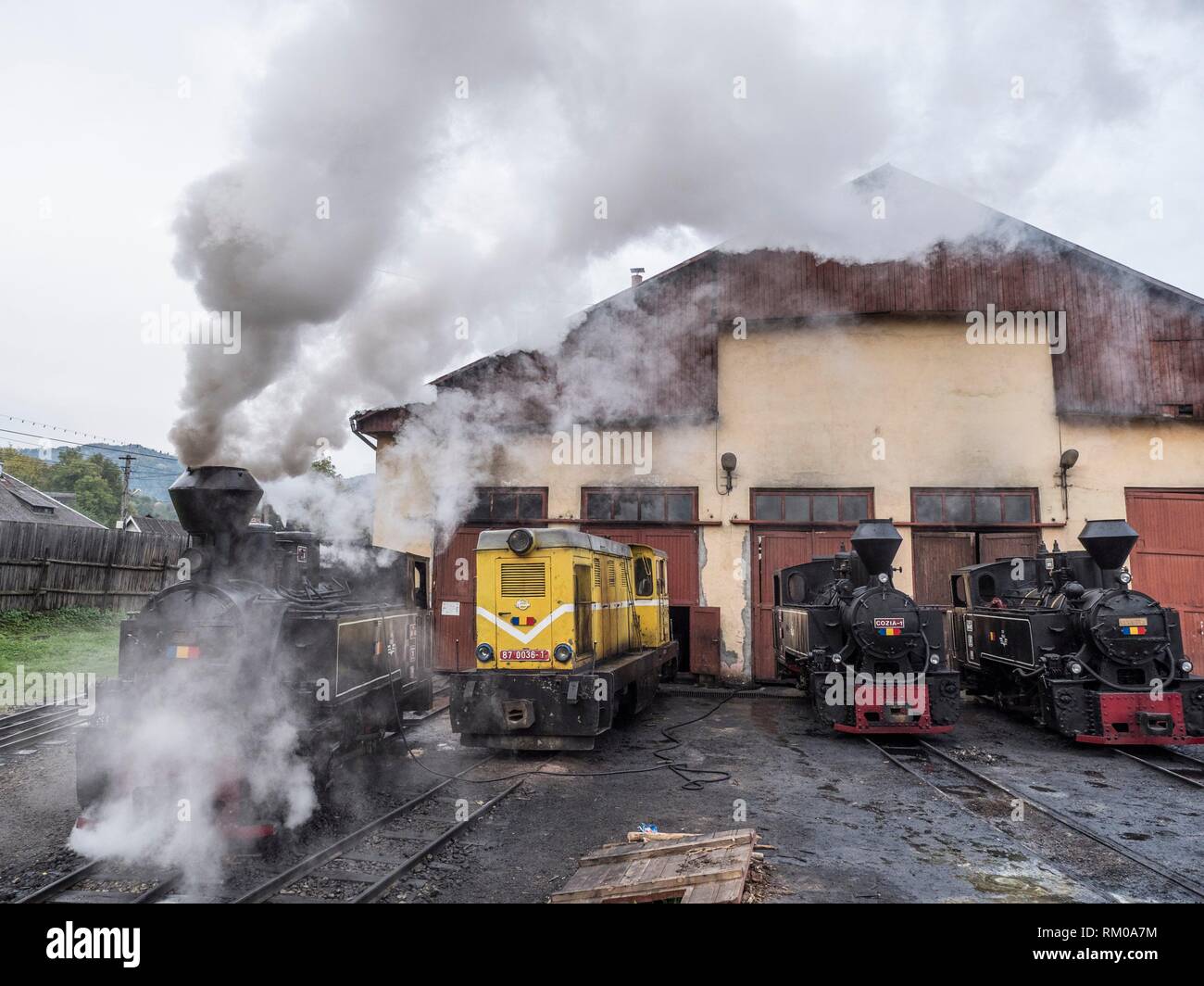 Carpathian forest steam train hi-res stock photography and images - Alamy
