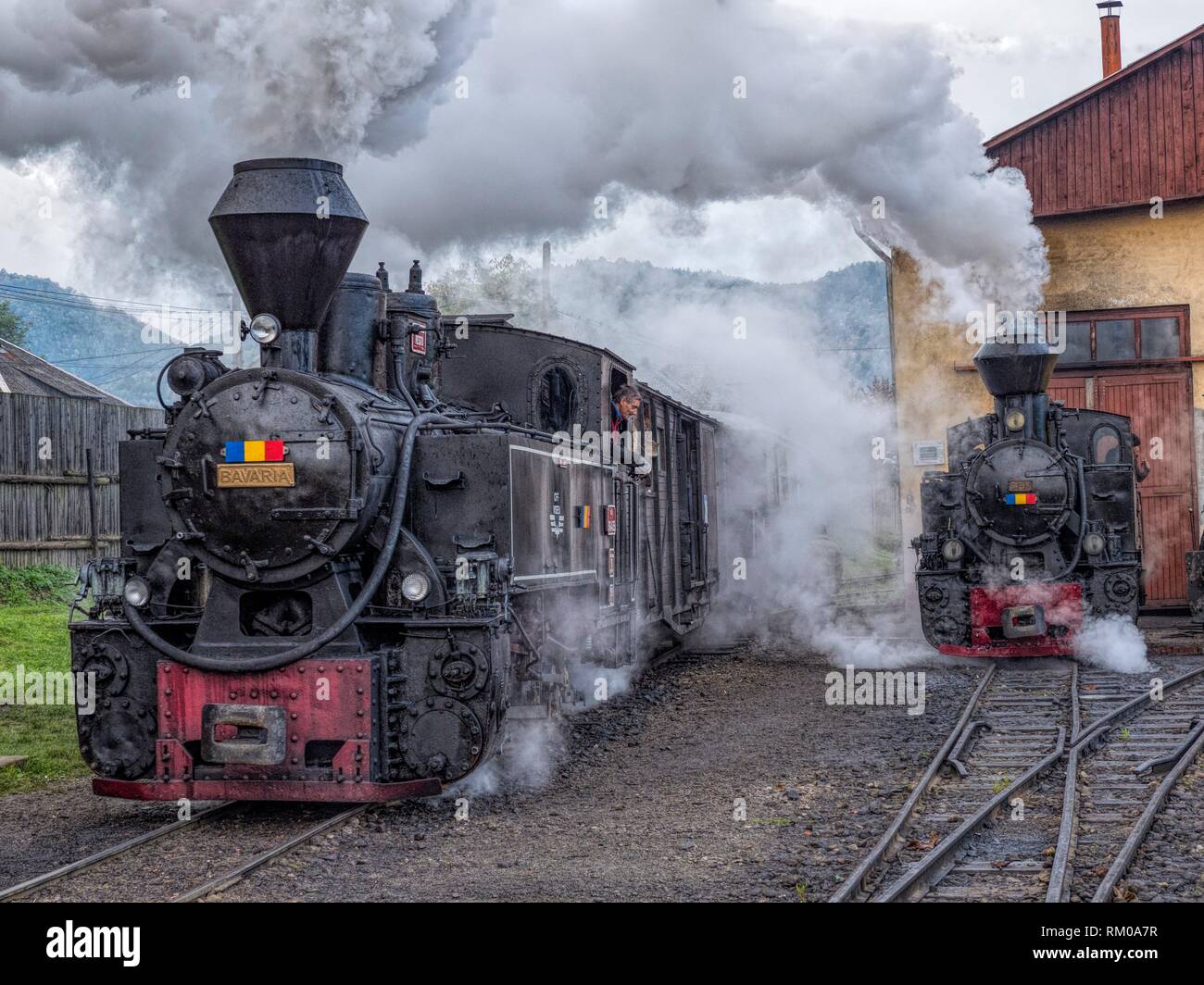 Carpathian forest steam train hi-res stock photography and images - Alamy