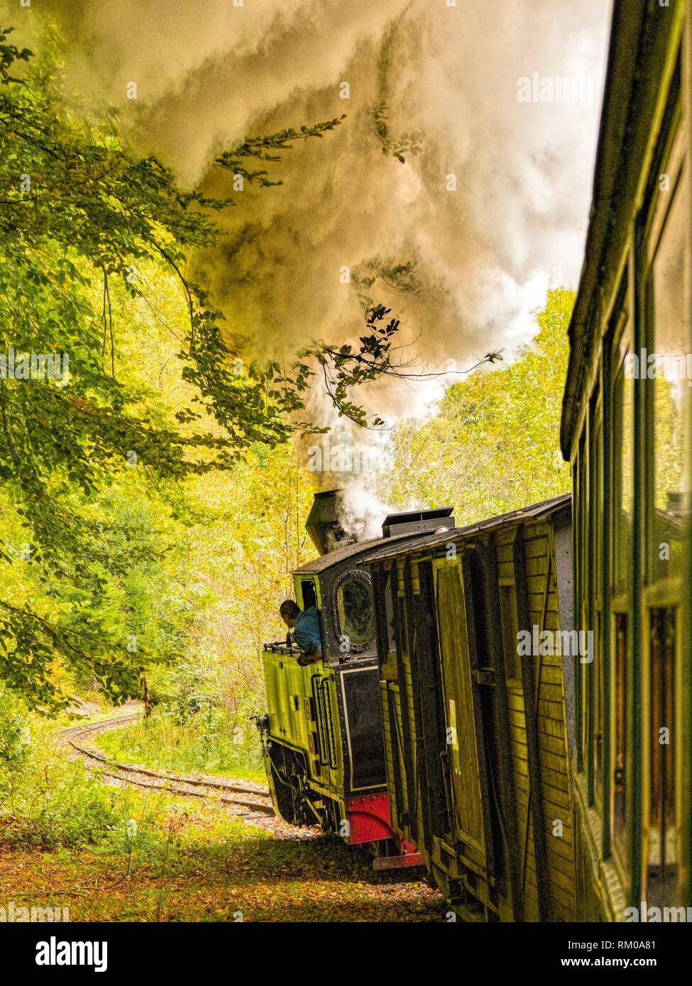 Carpathian forest steam train hi-res stock photography and images - Alamy