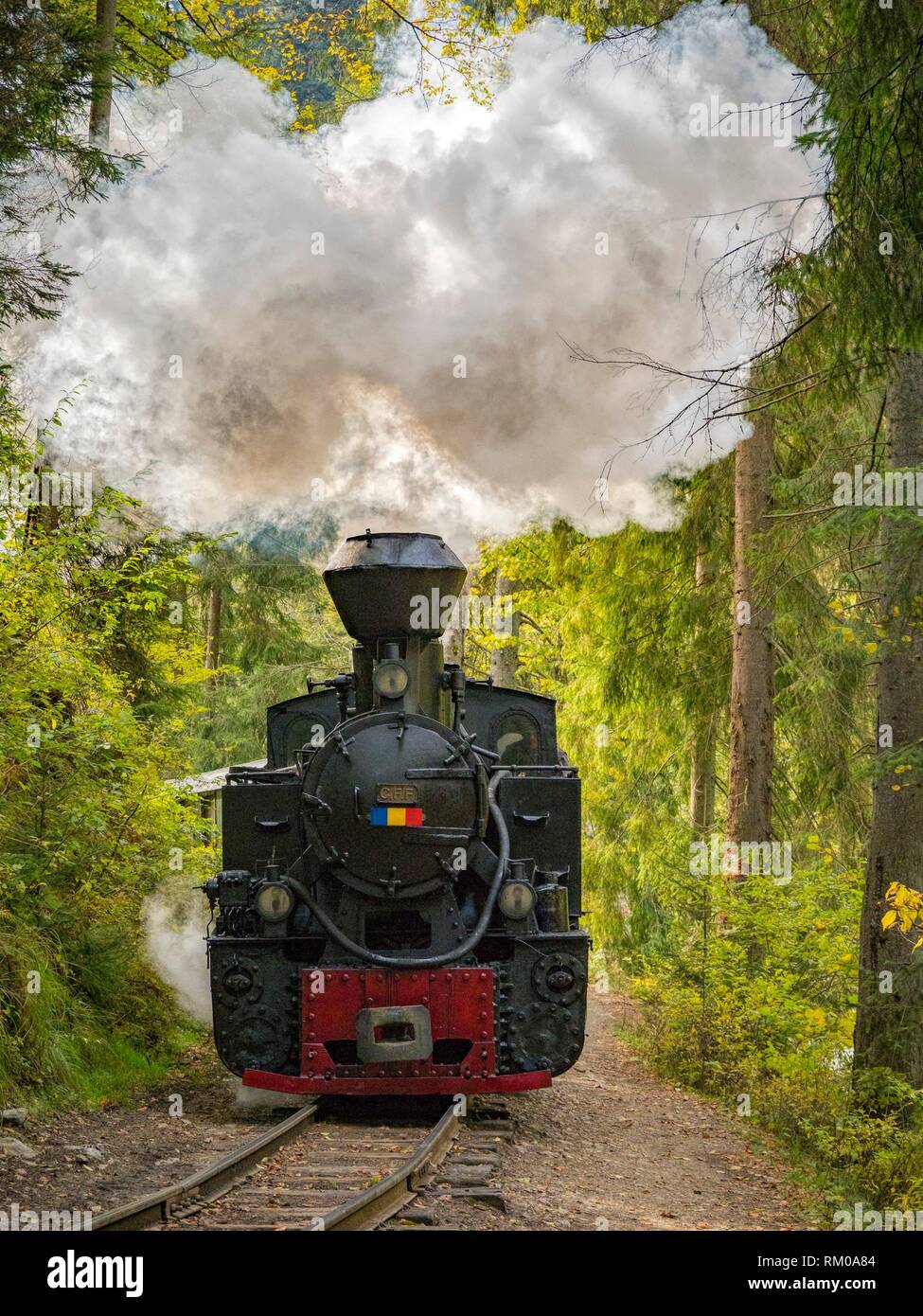 Carpathian forest steam train hi-res stock photography and images - Alamy