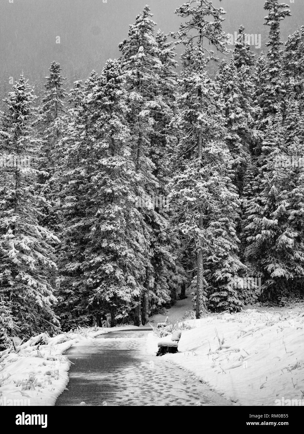 Canadian rockies lake louise Black and White Stock Photos & Images - Alamy
