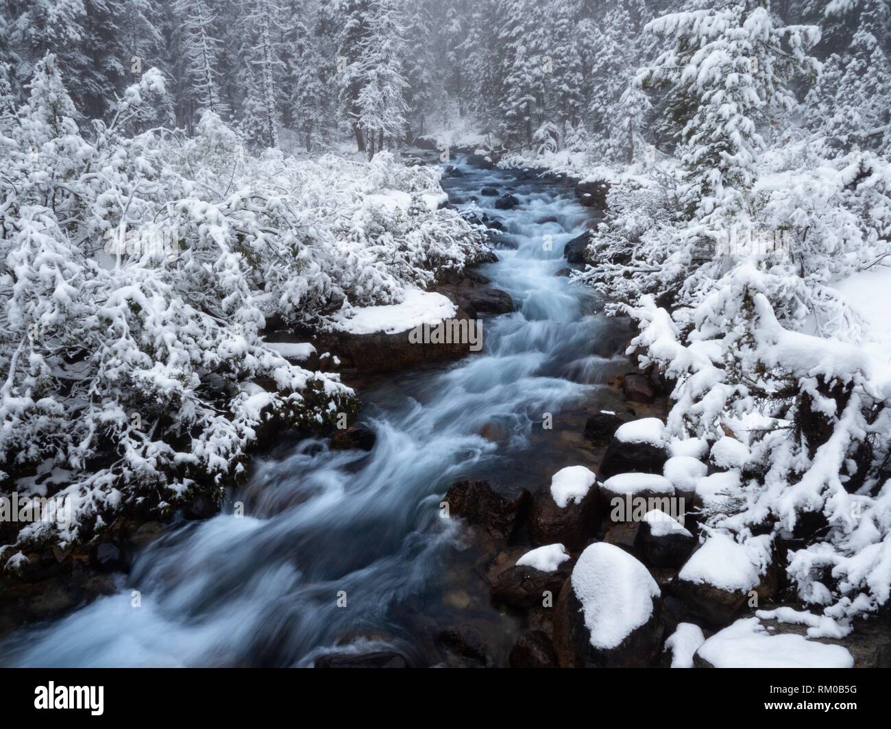 Rocky mountains canadian rockies winter hi-res stock photography and ...