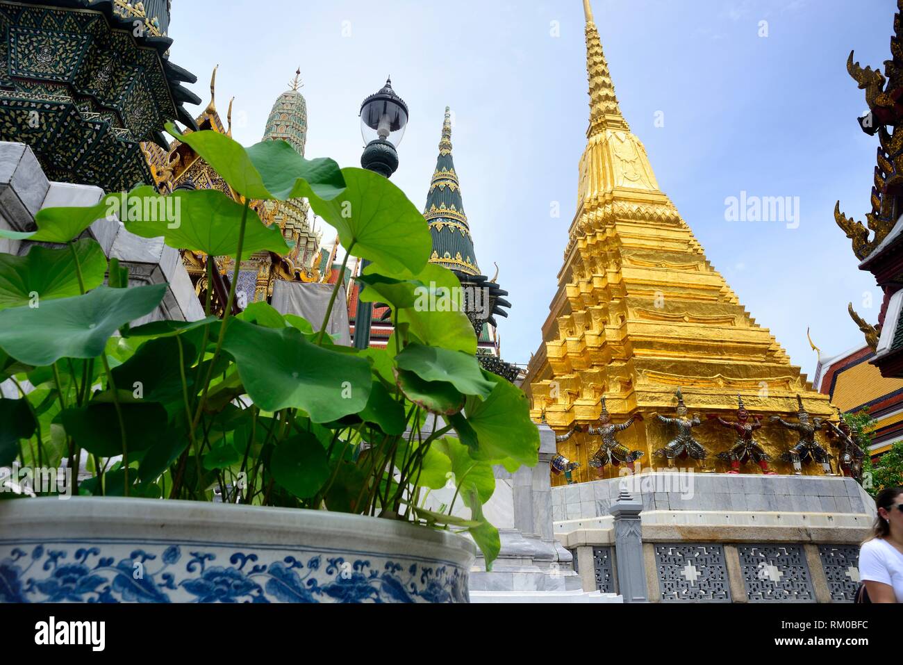 Keow hi-res stock photography and images - Alamy