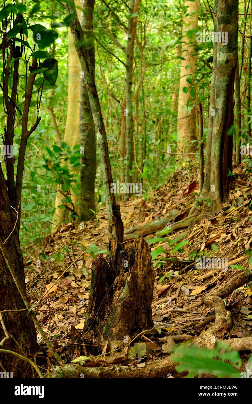 Kep national park hi-res stock photography and images - Alamy