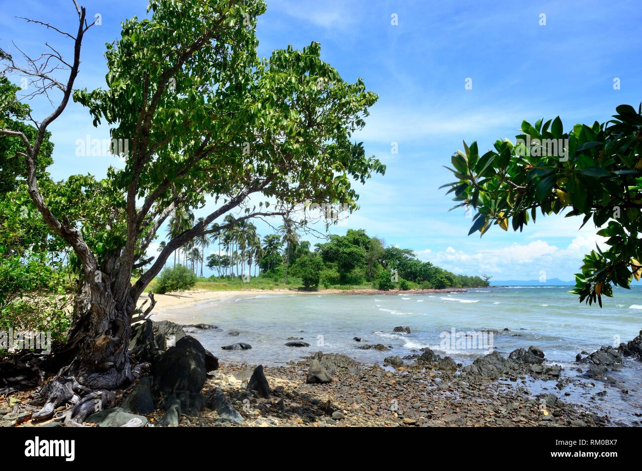 Koh tonsay rabbit island hi-res stock photography and images - Alamy