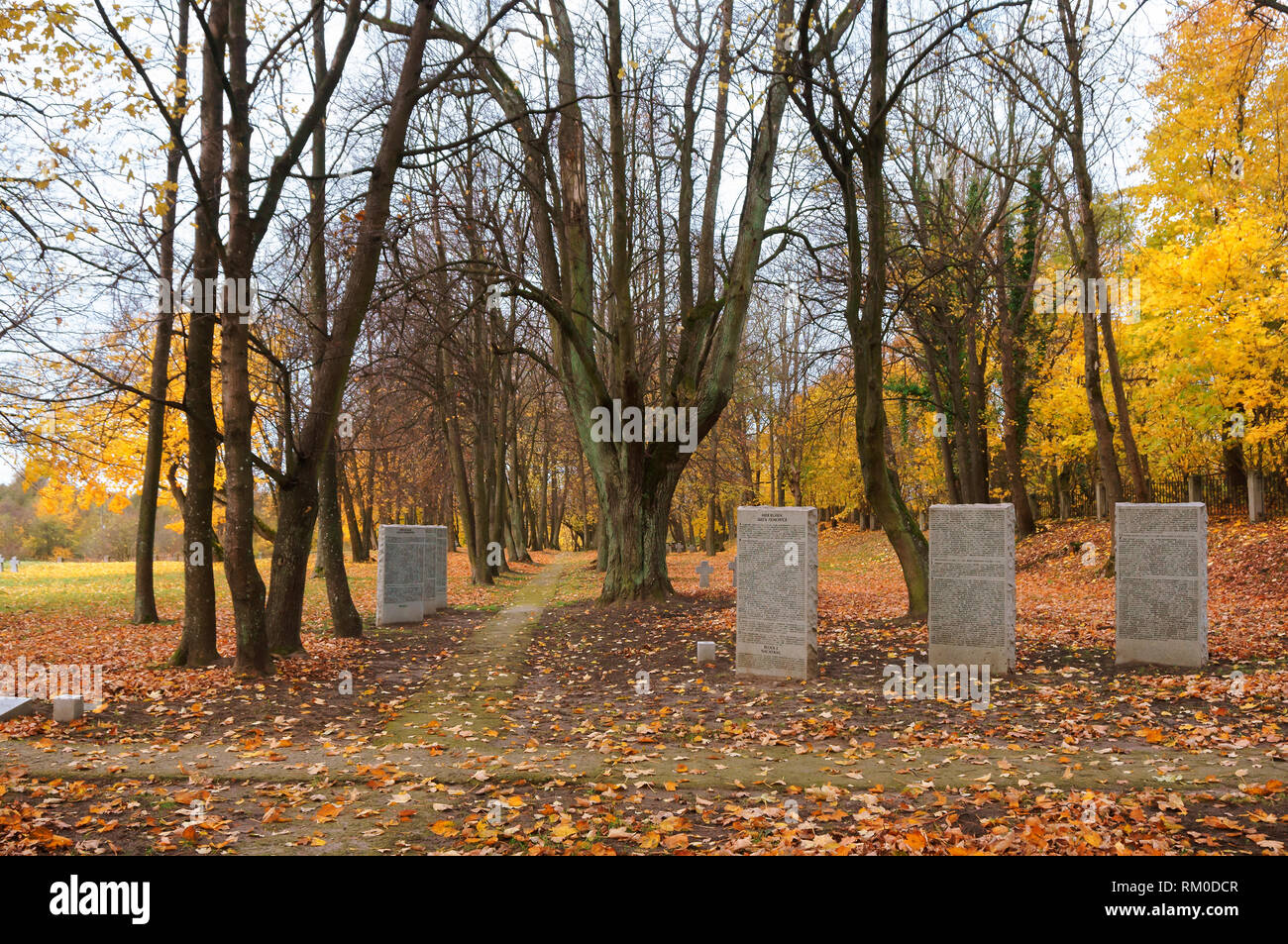 Kaliningrad oblast, a Russkoye village, Russia, November 4, 2018 ...