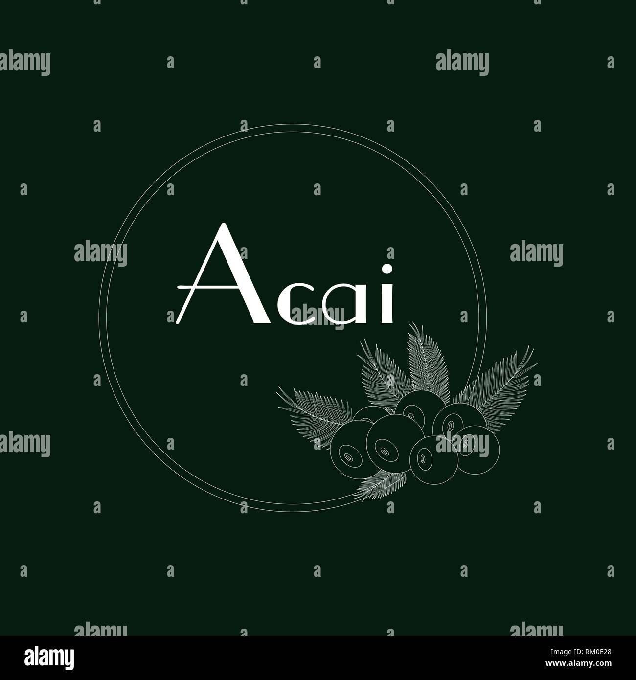silhouette acai berry with palm leaves and text Acai in frame 10 eps ...