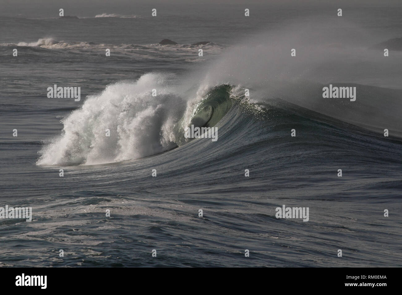 Big ocean wave approaching the portuguese coast Stock Photo - Alamy