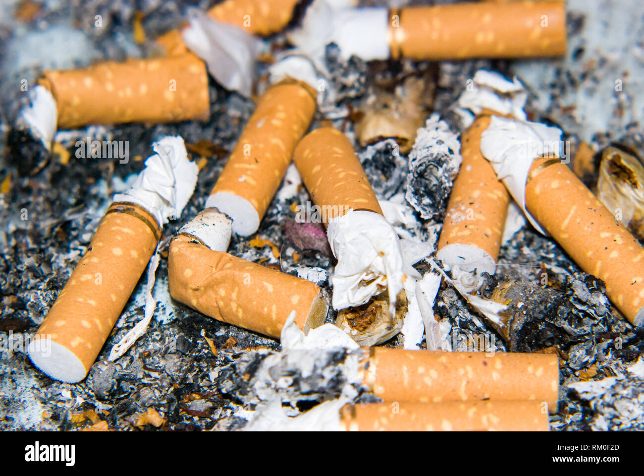 cigarette cigar butts ashtray smoking health hazard cigarettes Stock ...