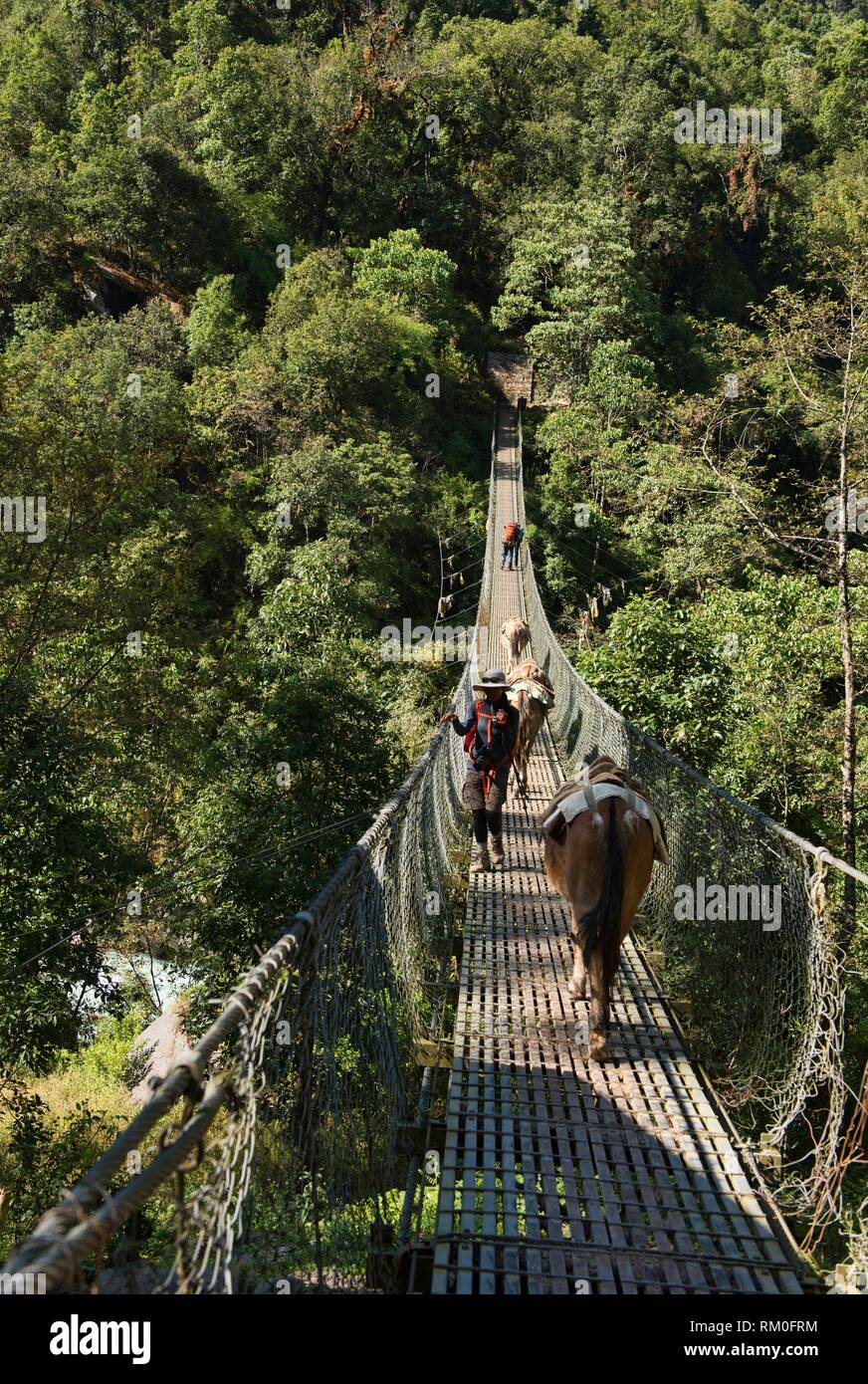 Mule bridge hi-res stock photography and images - Alamy