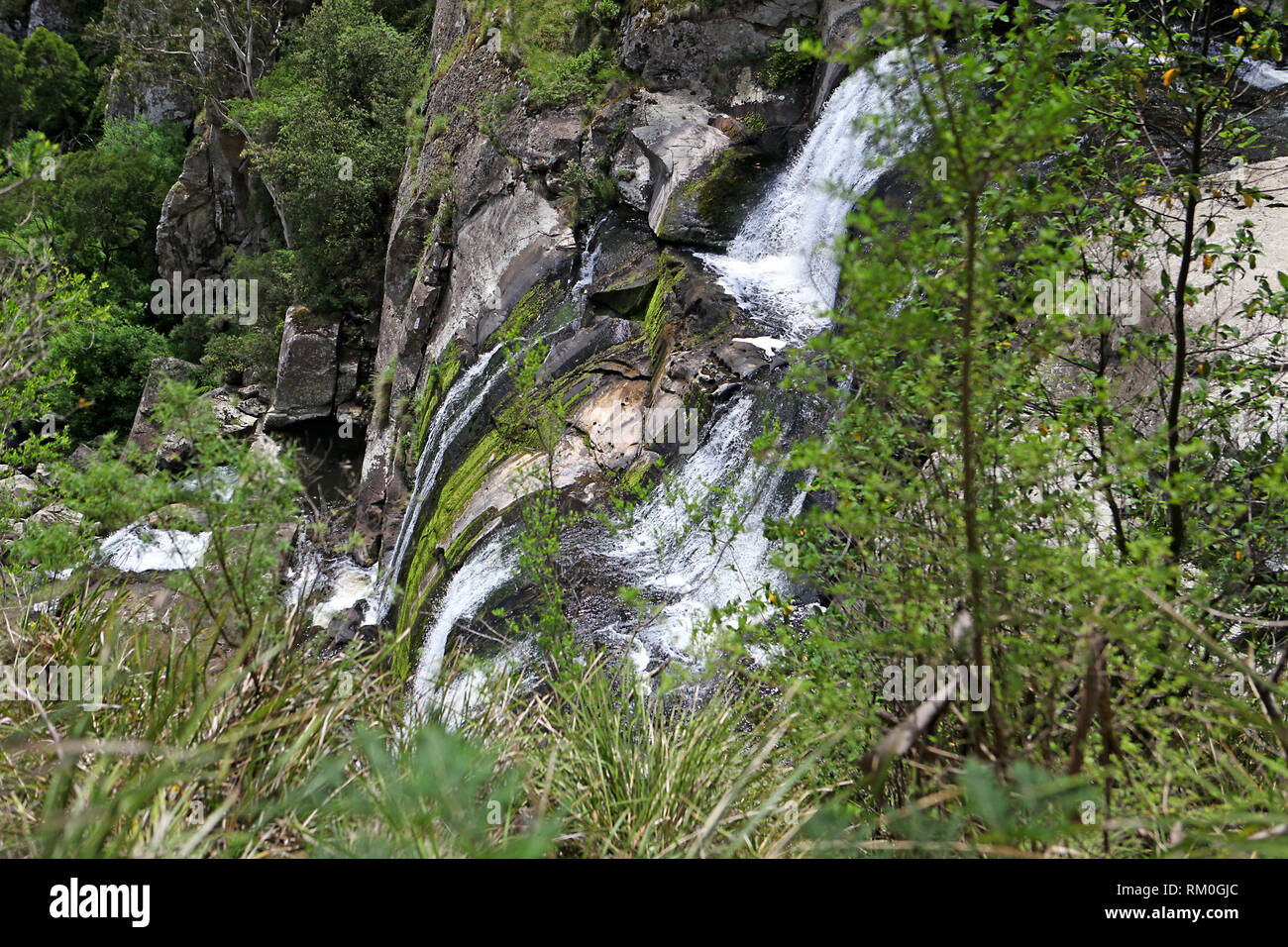 Visit Australia. Views and scenics of Australia. Agnes Falls in Hazel ...