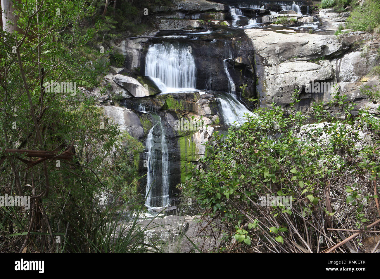 Agnes white hi-res stock photography and images - Alamy