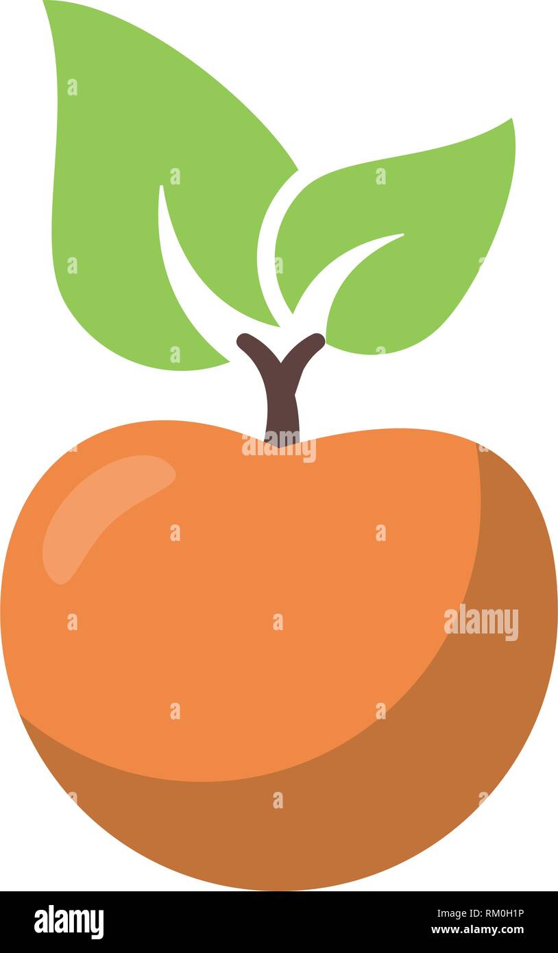 Orange fruit cartoon symbol Stock Vector Image & Art - Alamy