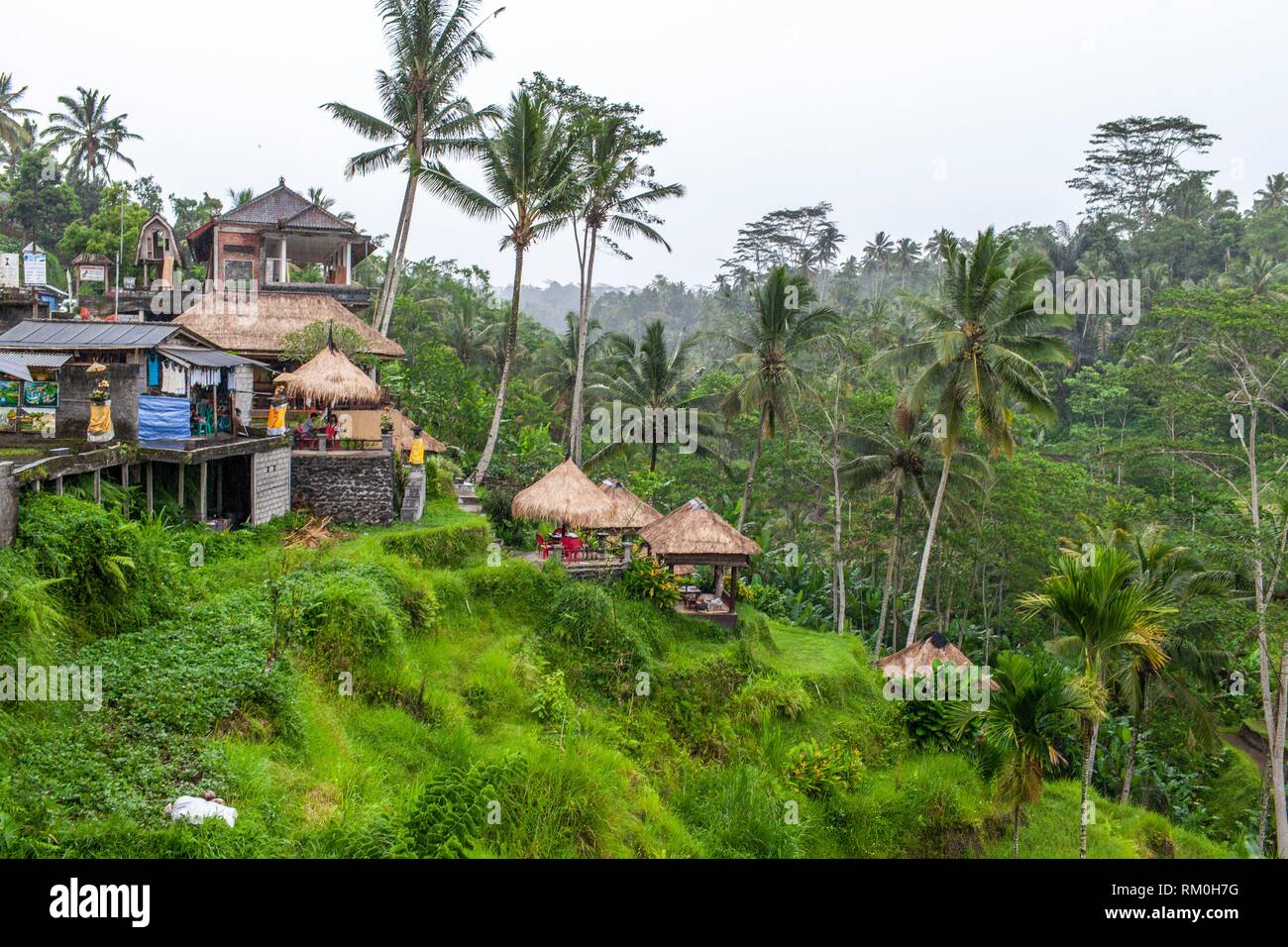 Padi terrace hi-res stock photography and images - Alamy