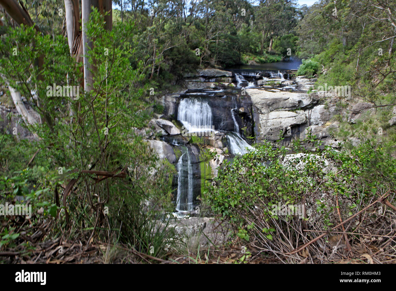 Visit Australia. Views and scenics of Australia. Agnes Falls in Hazel ...
