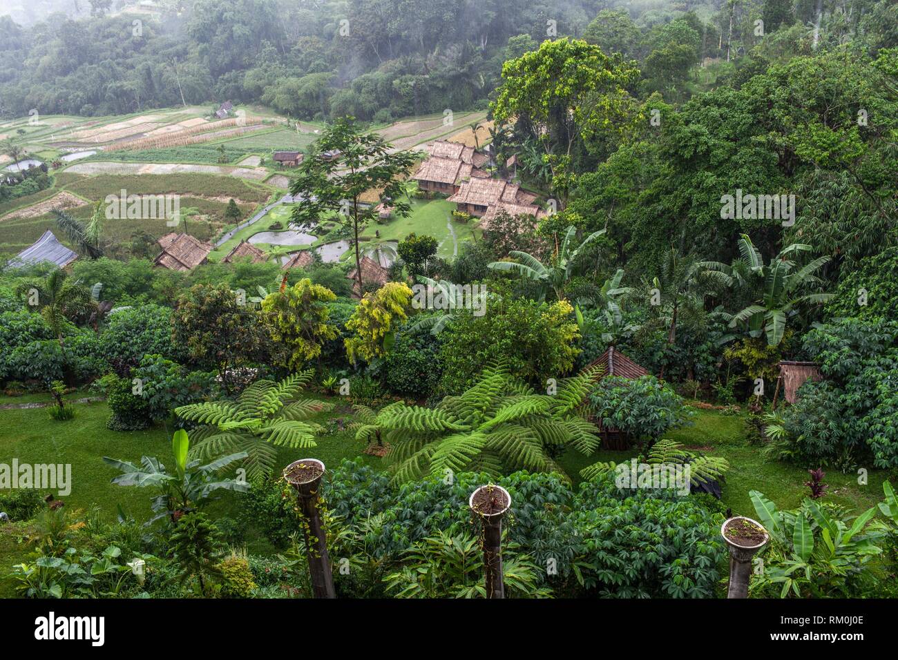 Pacung rice terraces hi-res stock photography and images - Alamy