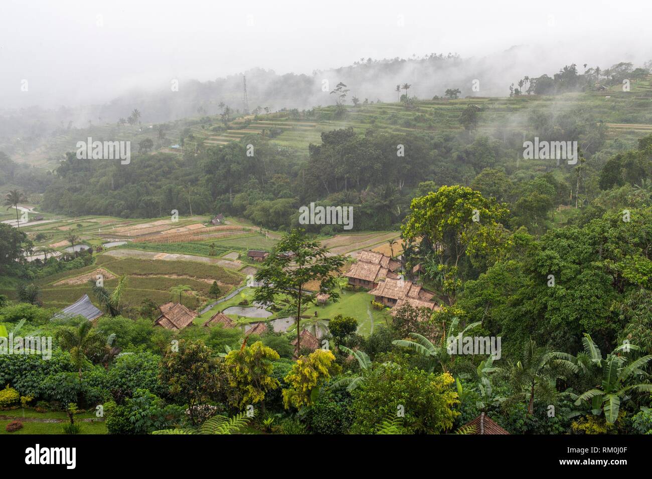 Pacung rice terraces hi-res stock photography and images - Alamy