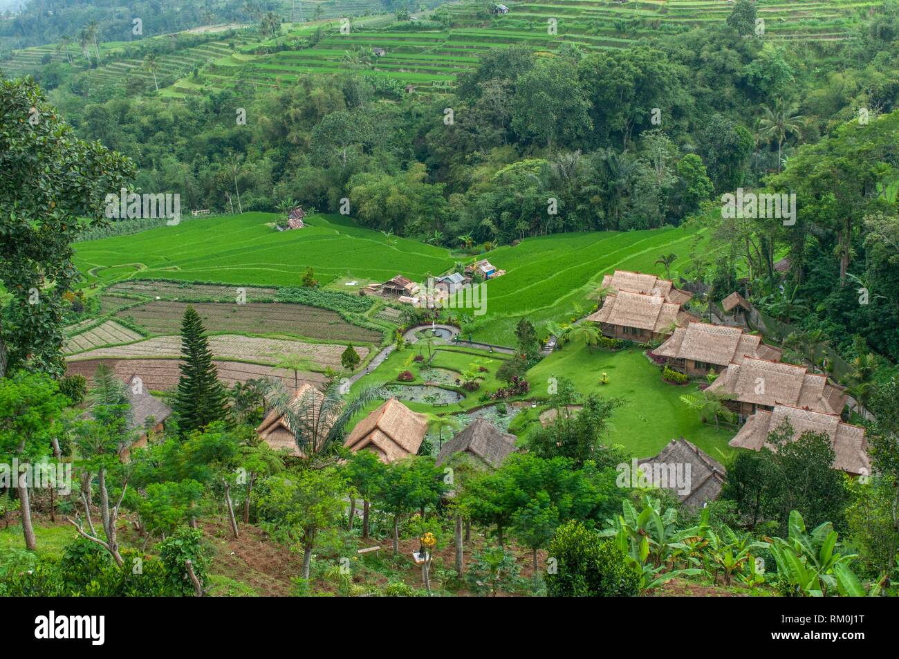 Pacung rice terraces hi-res stock photography and images - Alamy