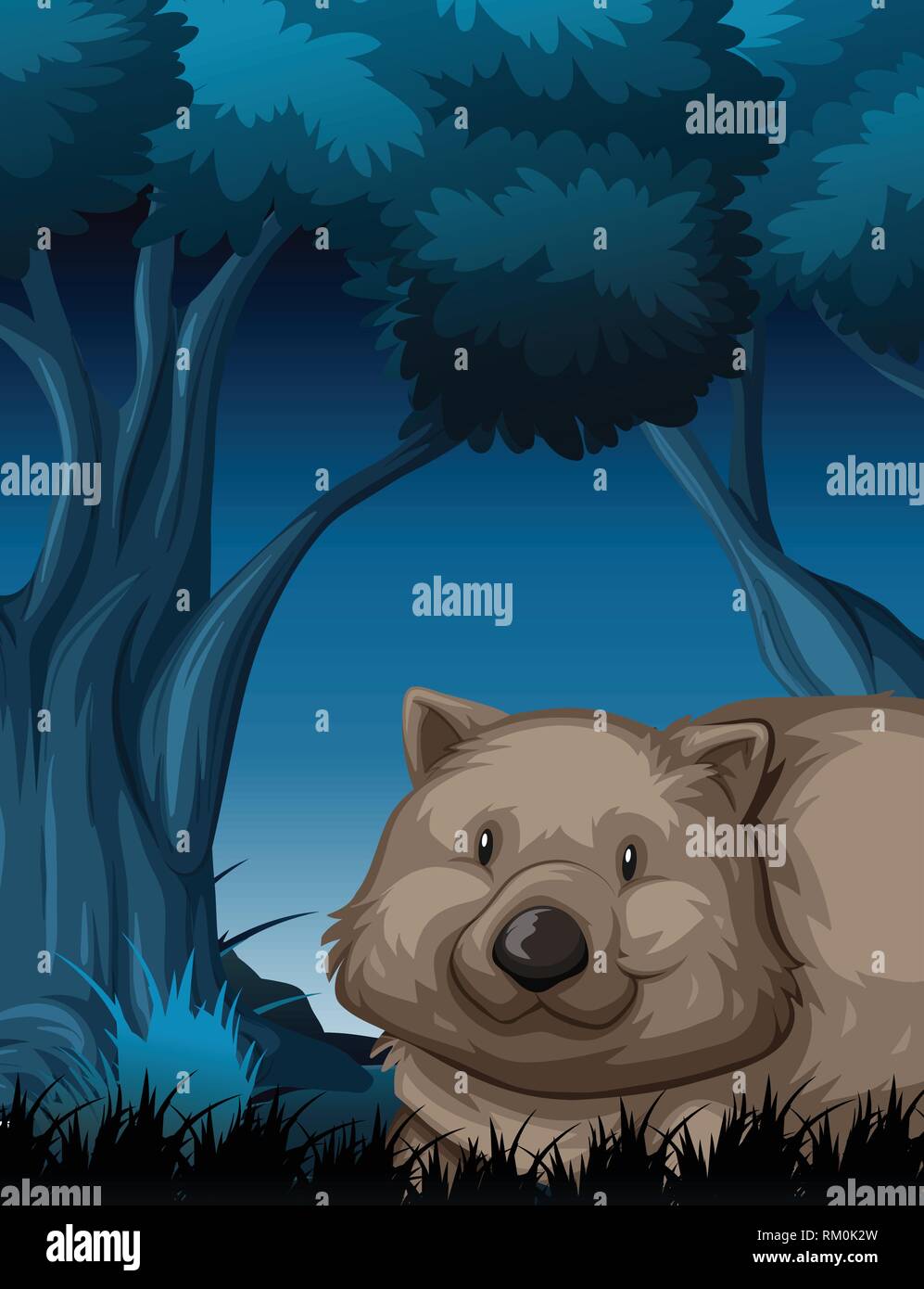 Wombat in nature night scene illustration Stock Vector Image & Art - Alamy