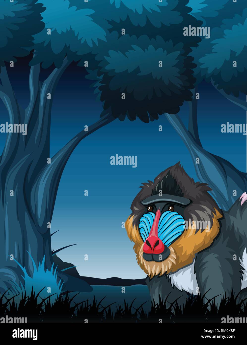 A mandrill in dark forest illustration Stock Vector Image & Art - Alamy