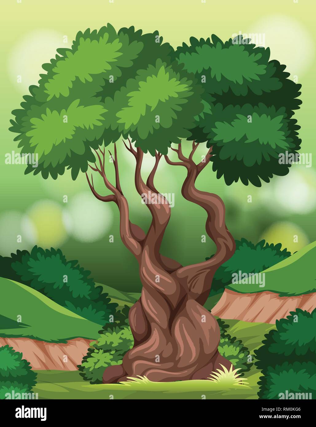 A tree in nature scene illustration Stock Vector Image & Art - Alamy