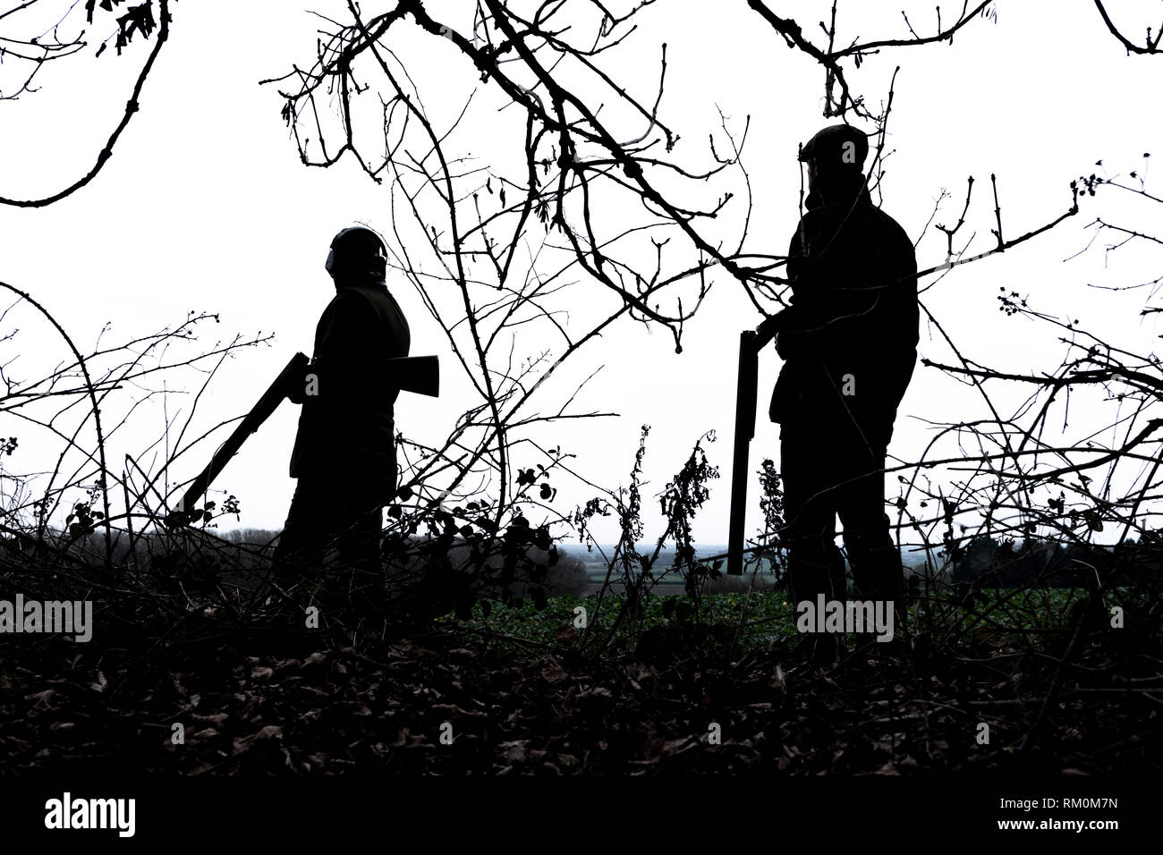 Traditional English game shooting in the autumn countryside with gun ...