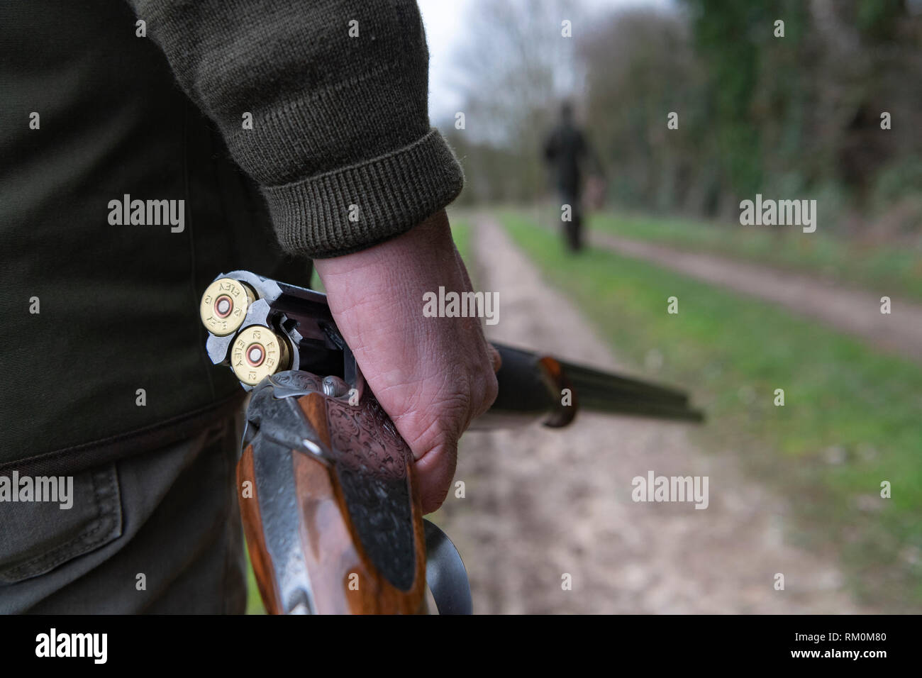 Traditional English game shooting in the autumn countryside with gun ...