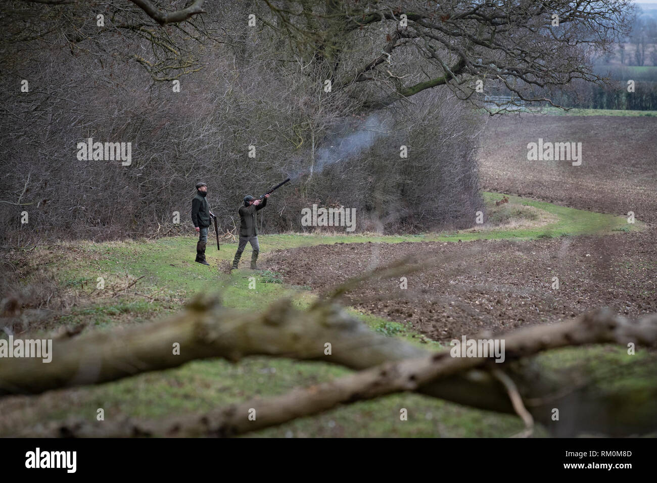 Traditional English game shooting in the autumn countryside with gun ...