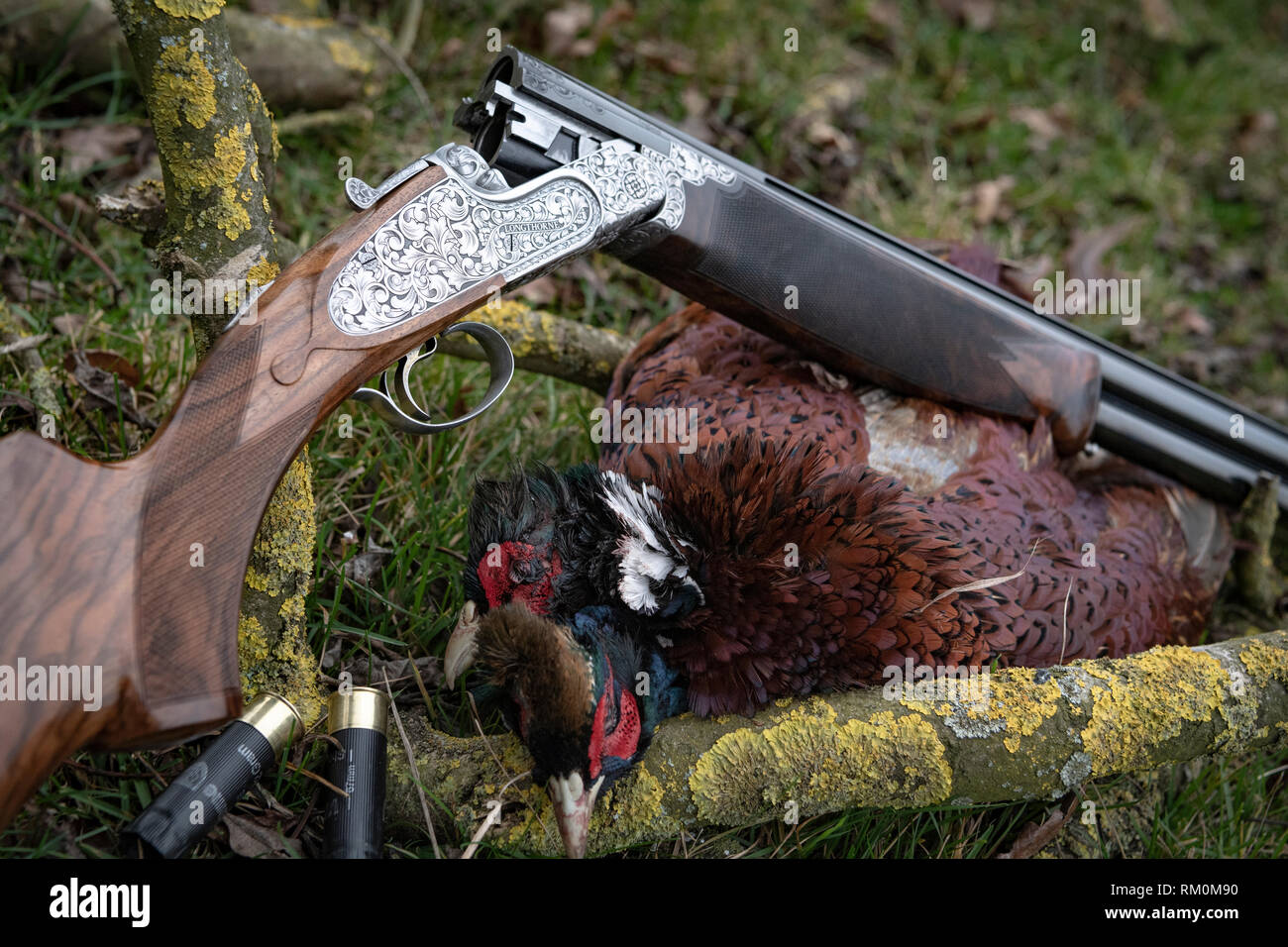 Traditional English game shooting in the autumn countryside with gun ...